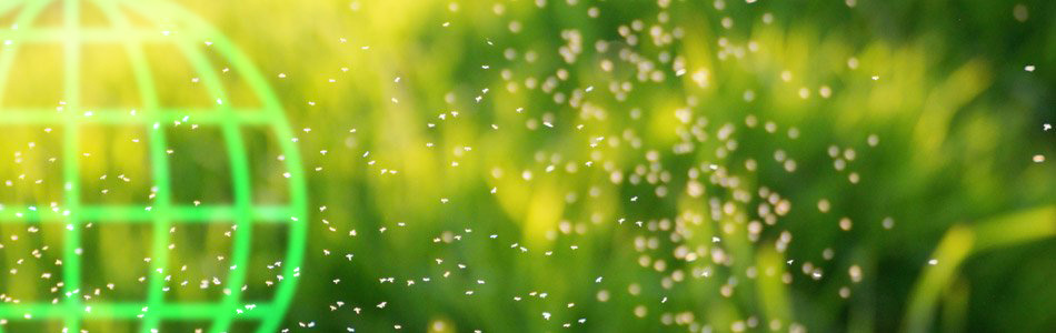 Safeguarding Humanity - BioFire Defense