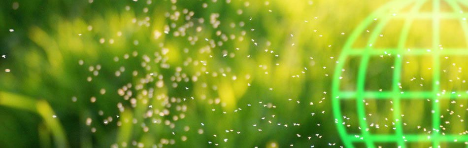 Safeguarding Humanity - BioFire Defense